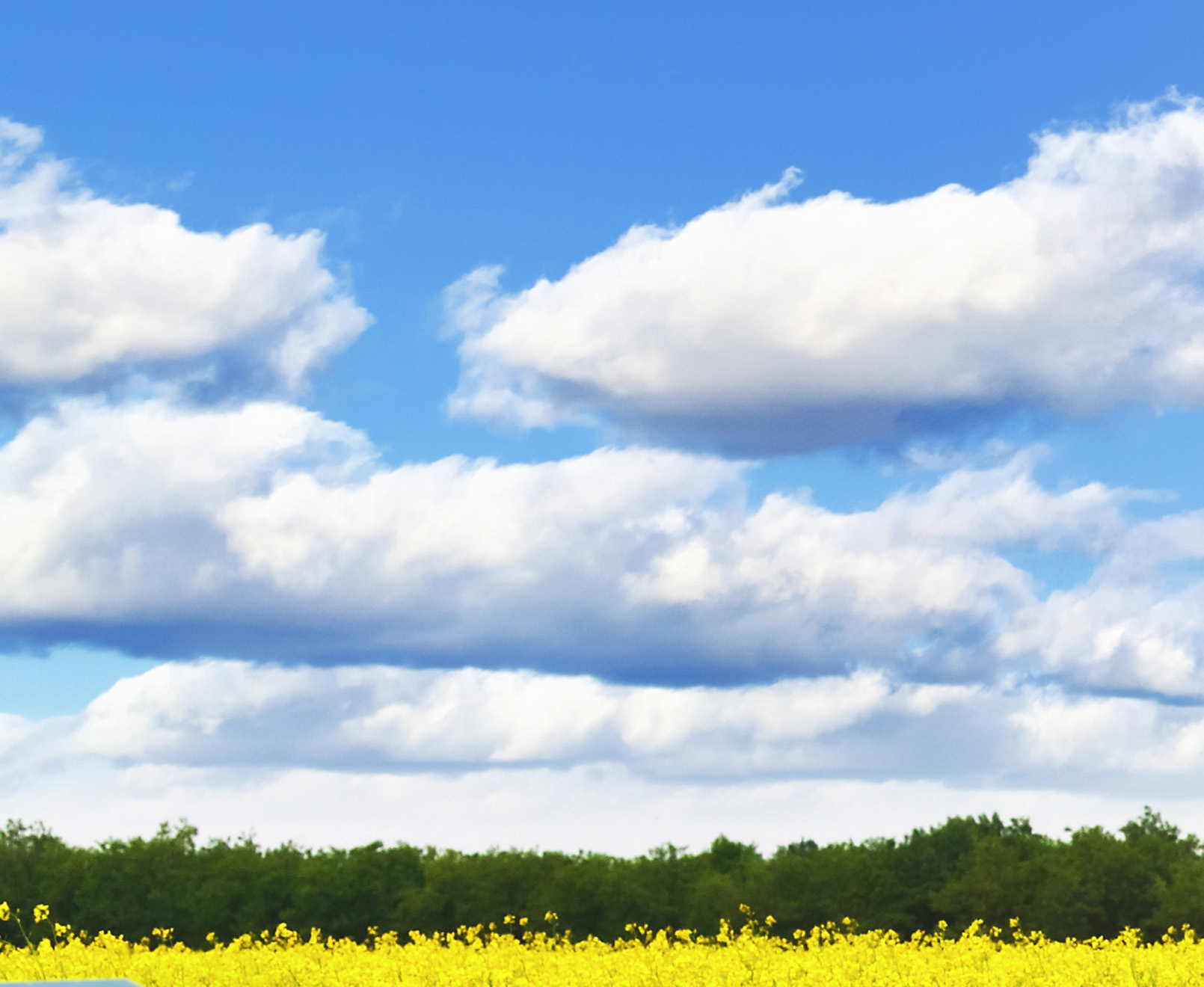 resource-single-bg - ESIG