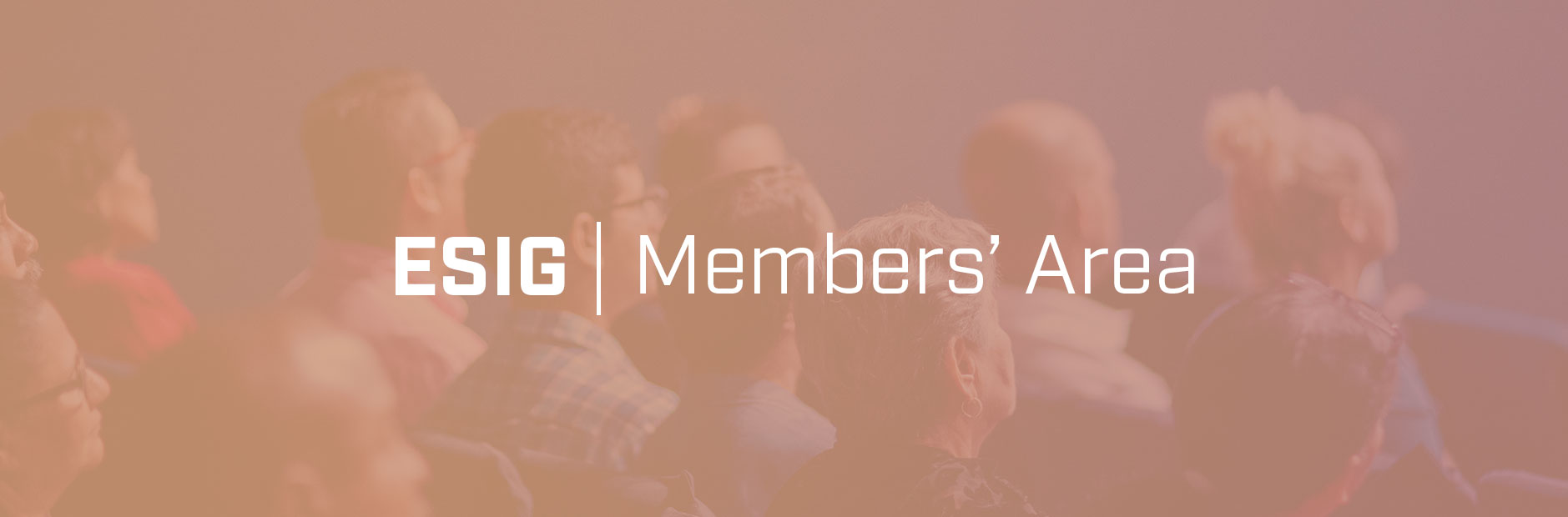 banner - ESIG