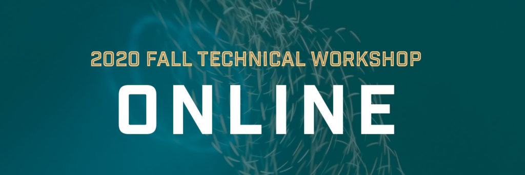 2020 Fall Technical Workshop (Online) - ESIG