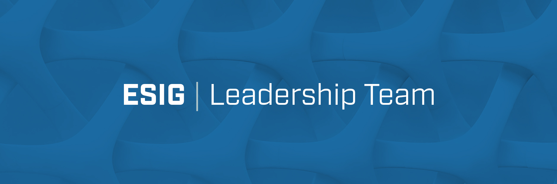 leadership-banner - ESIG
