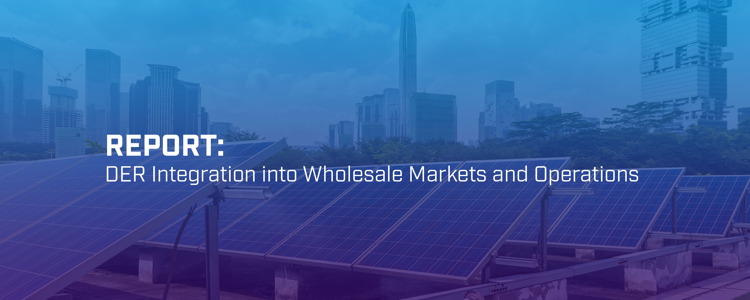 Report-banner-DER-integration - ESIG