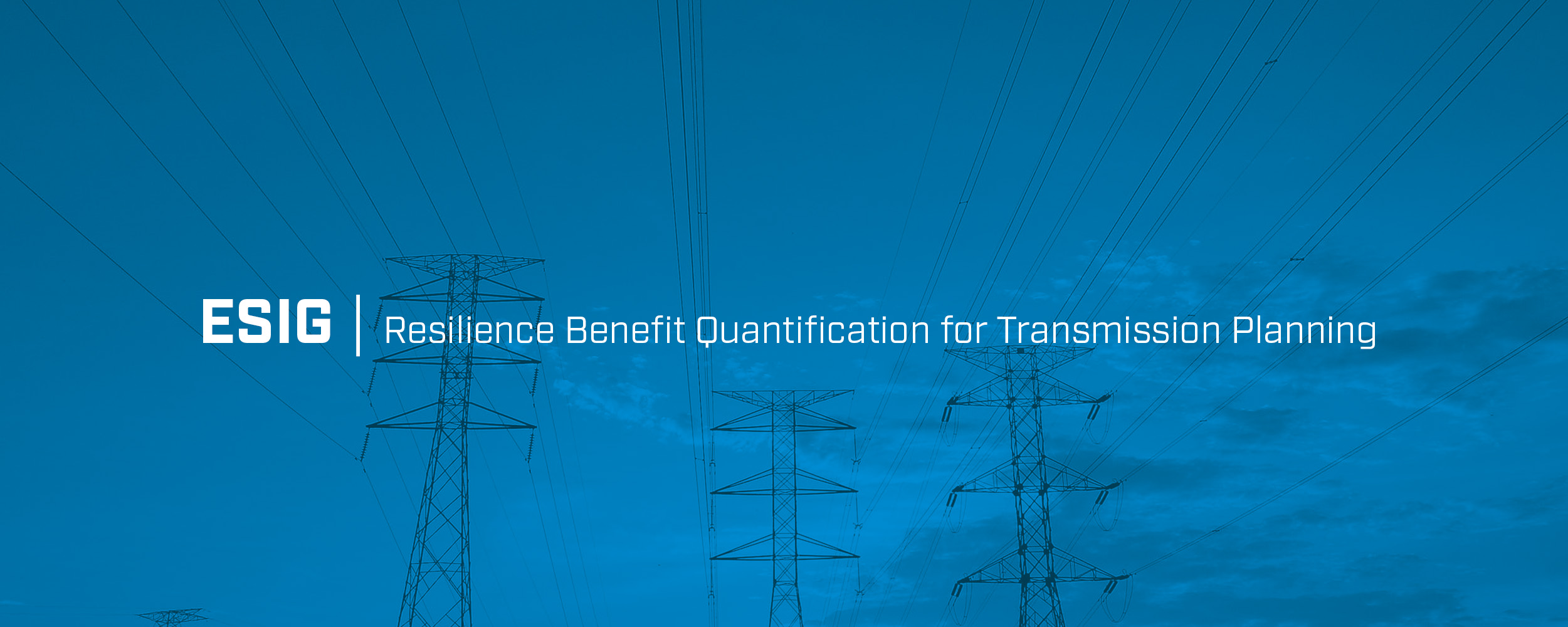 Report-banner-Resilience - ESIG